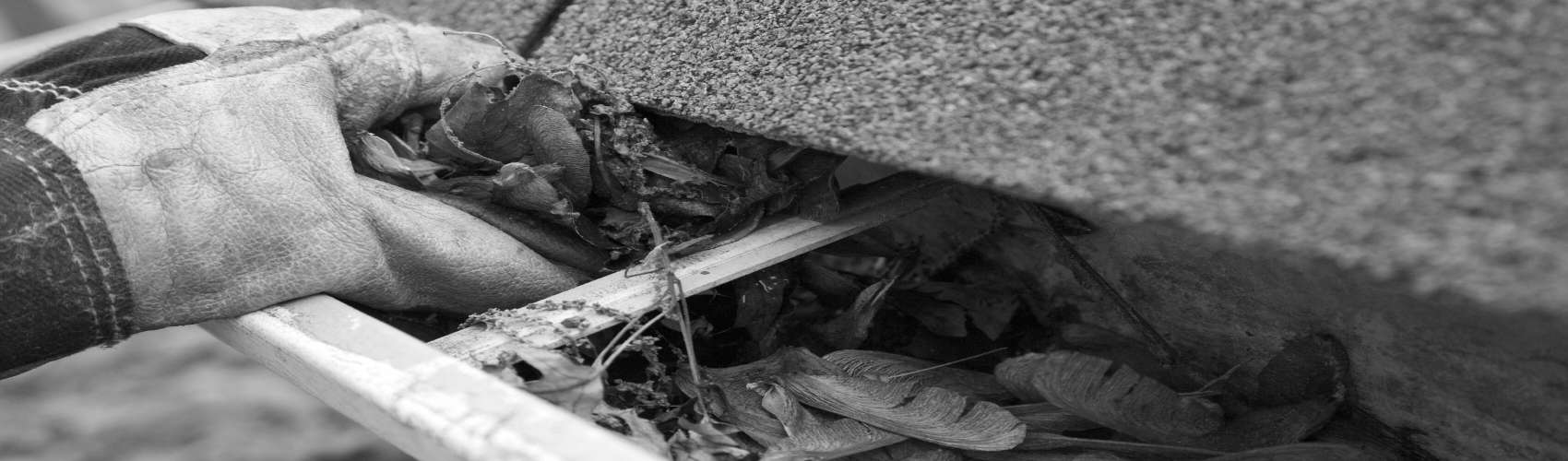 Gutter Cleaning Services Gutter Cleaners Gutter Cleaning Center